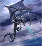 PORTFOLIO 9 TASCHE - SWOOPING DRAGON